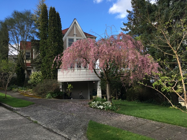 3 bedroom House for rent in Seattle listing 170753