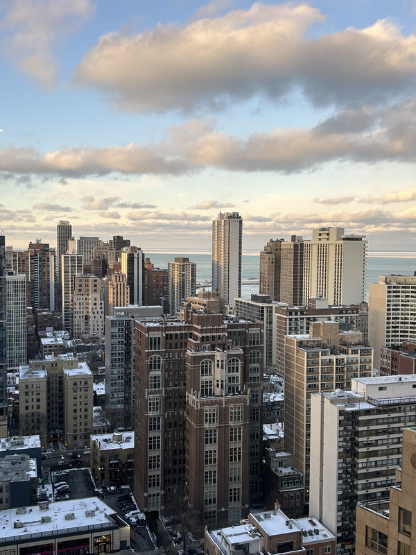 1 bedroom Apartment or Condo for rent in Chicago listing 173542